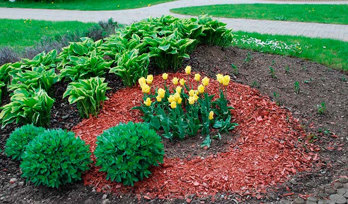 Mulching y mantillo: el secreto para un jardín sin malezas