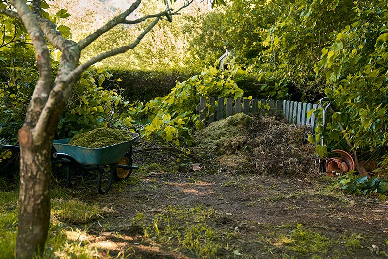 Mulching y mantillo: el secreto para un jardín sin malezas